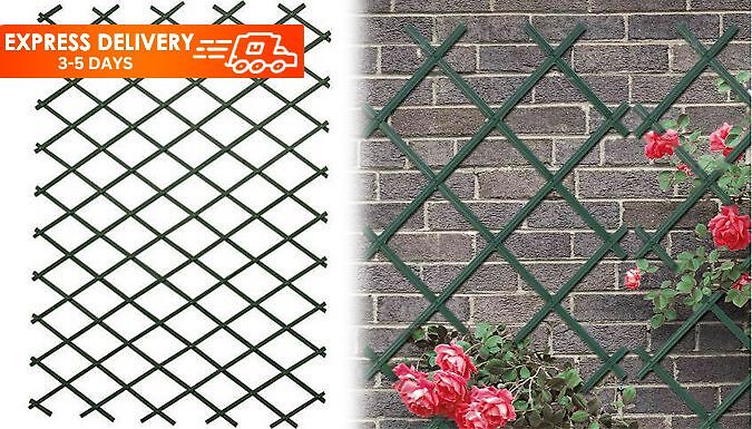 Expanding Plant Climbing Garden Wall Trellis