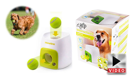 Interactive Dog Fetch Training Machine